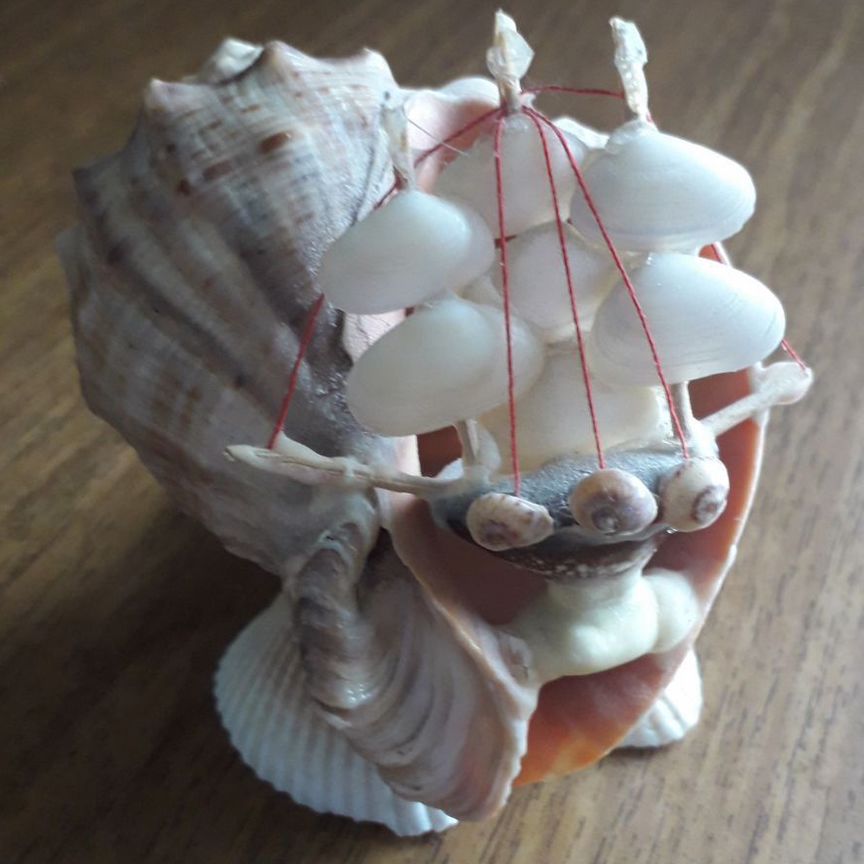 Ракушка- кораблик