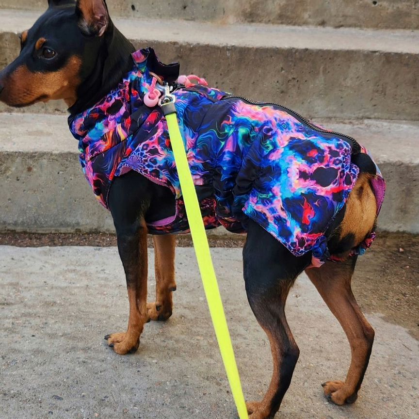 Жилетка для собак на флисе