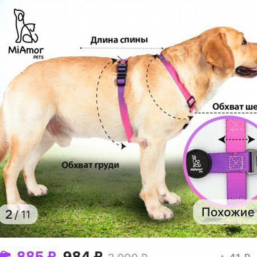 Шлейка для собаки