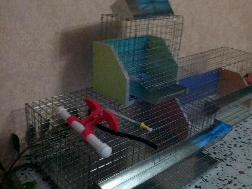 Клетка для перепелов