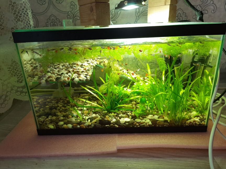 Аквариум 35л,37,30,13литров