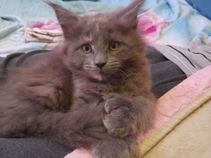 Супер девчонка