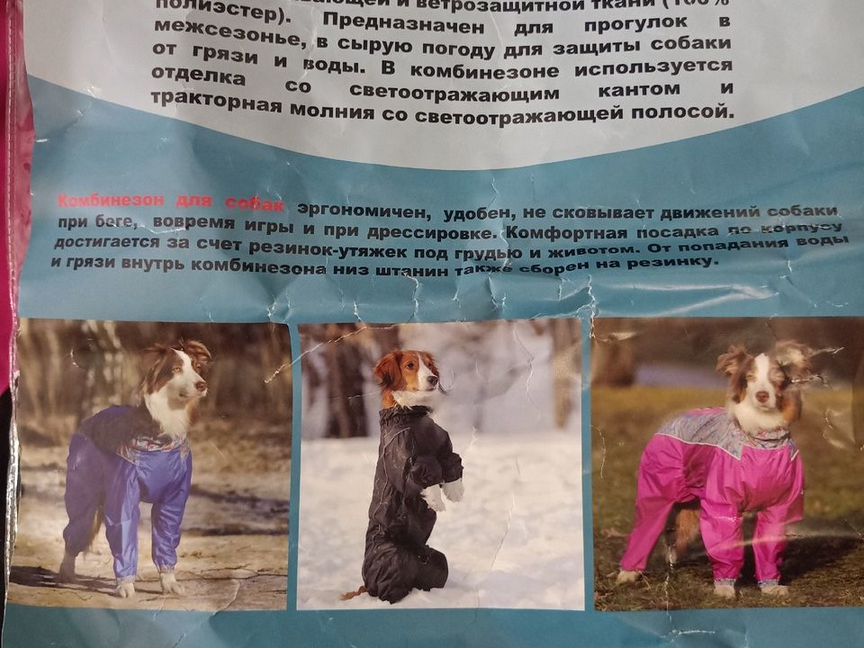 Комбинезон для средней собаки
