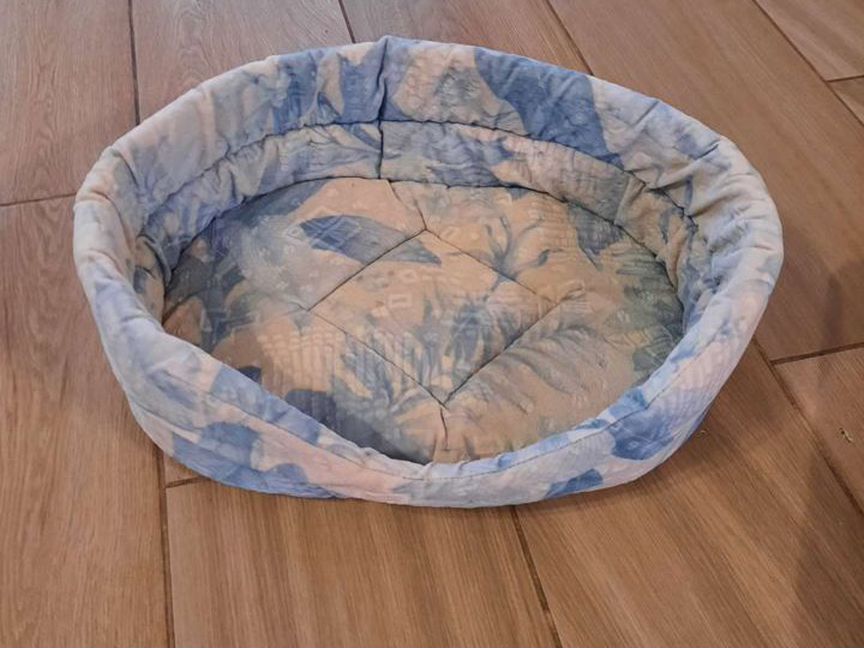 Миска, лежанка. принадлежности для кошек