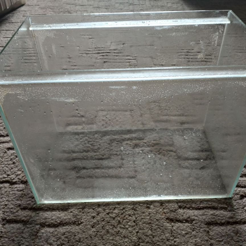 Аквариум/Террариум