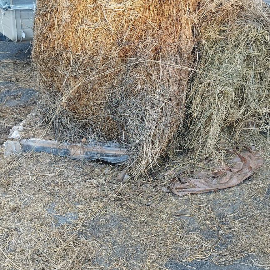 Сено люцерны в рулонах