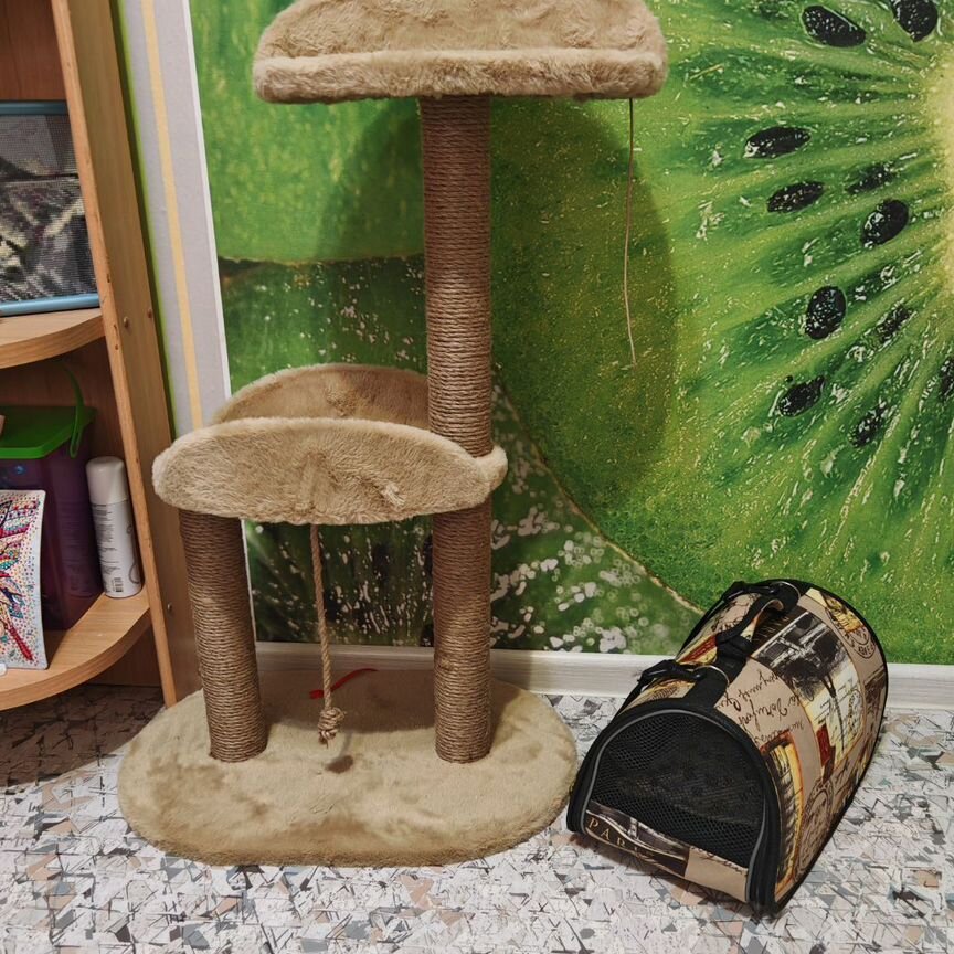 Переноска для кошек бу