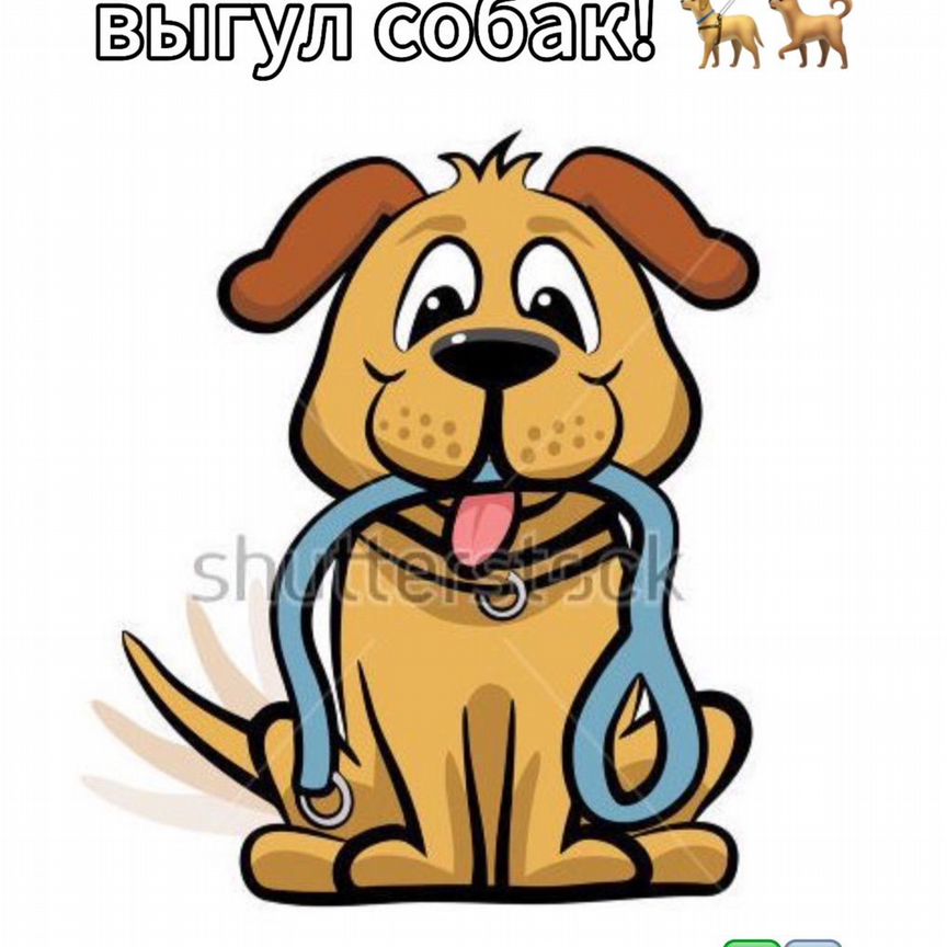 Работа выгул собак