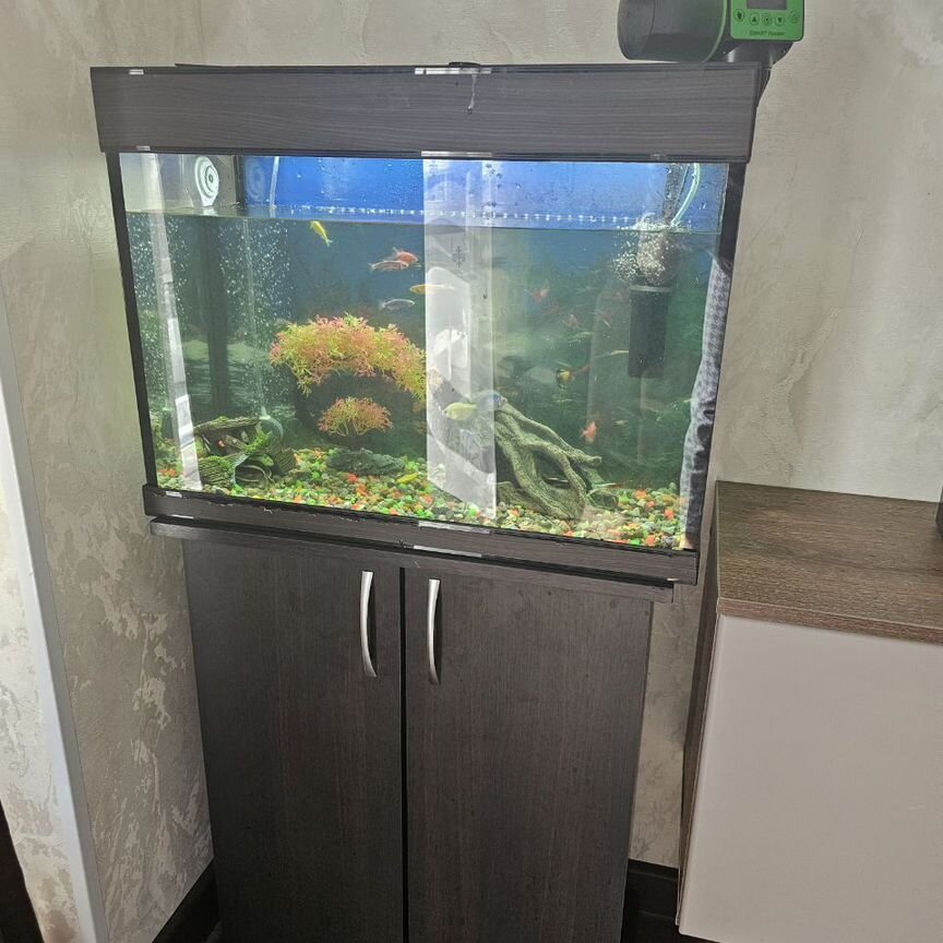 Аквариум с тумбой 60 литров
