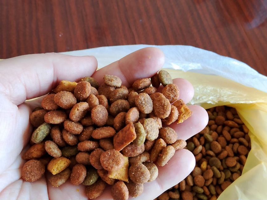 Сухой корм для кошек вискас