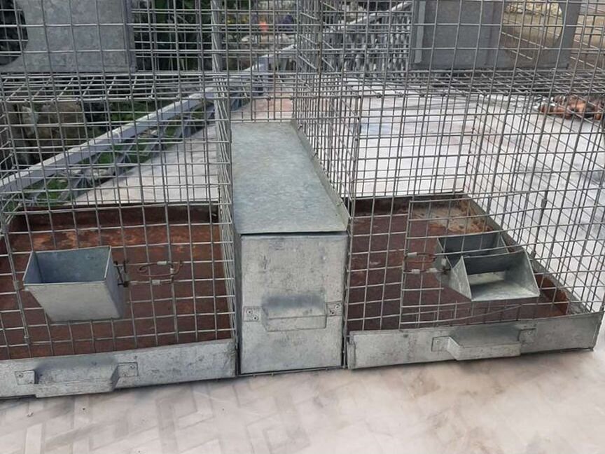 Клетки для грызунов бу