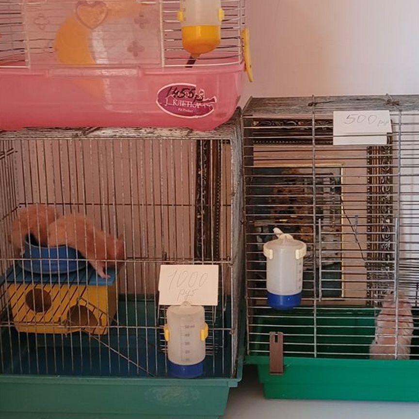 Клетки бу для грызунов