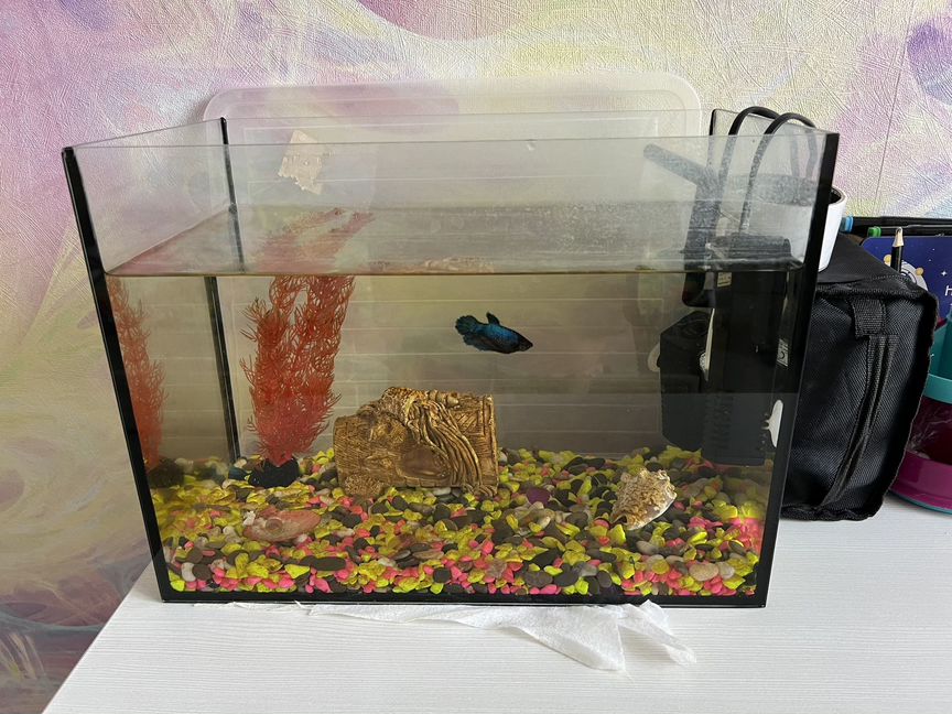 Аквариум целый 30 литров