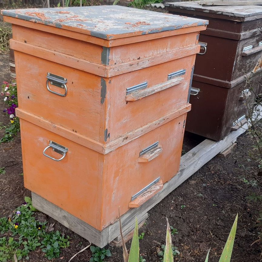 Ульи для пчел