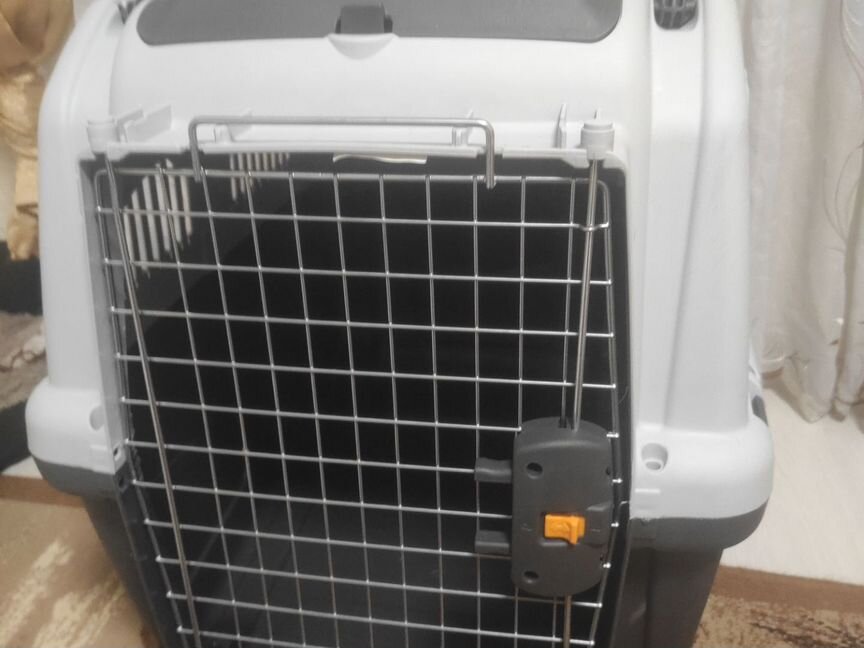 Бокс для транспортировки животных