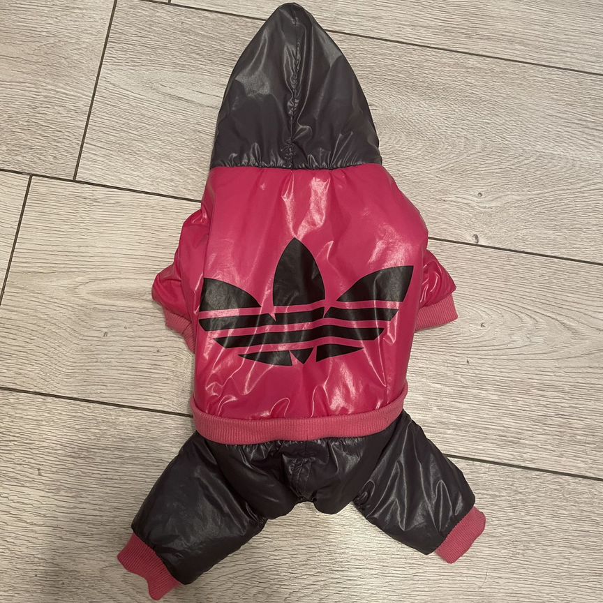 Одежда для маленьких собак пакетом