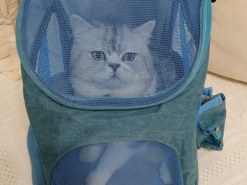 Рюкзак для животных