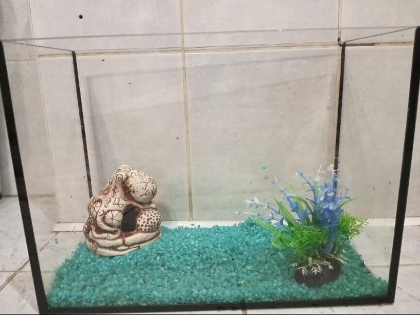 Аквариум террариум