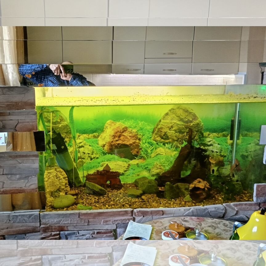 Аквариум 560 литров с грунтом и водорослями