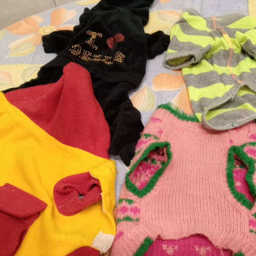 Одежда для маленьких собак xs