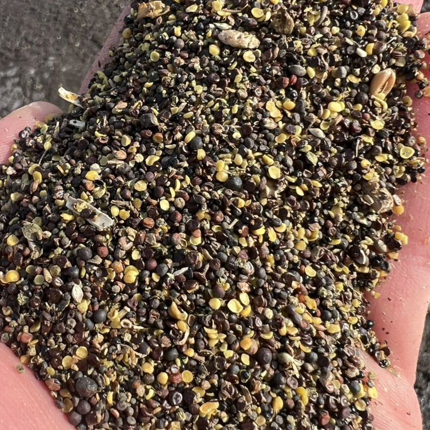 Отходы рапса