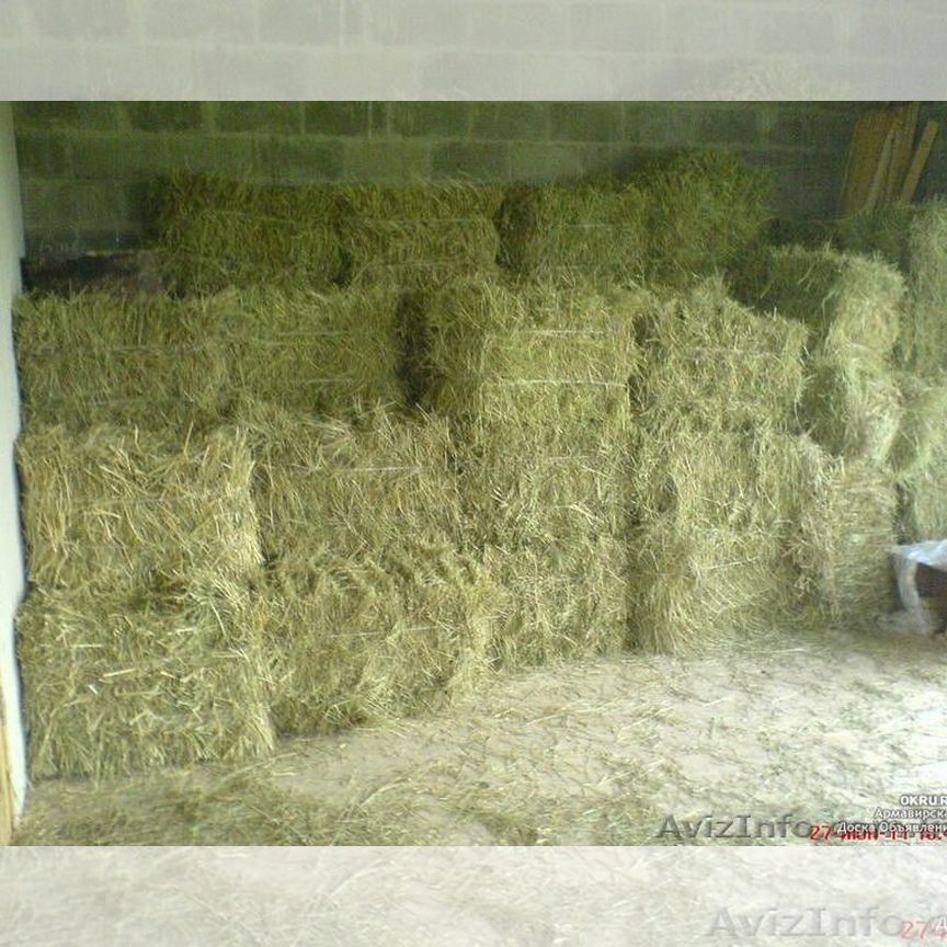 Тюки сена/соломы