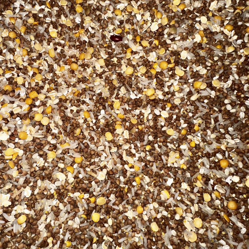 Корм для животных