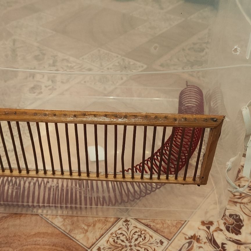 Для джунгарика