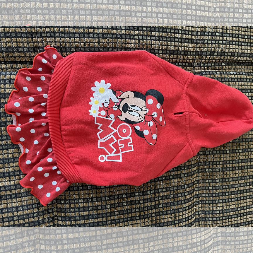 Вещи для собак мелких пород