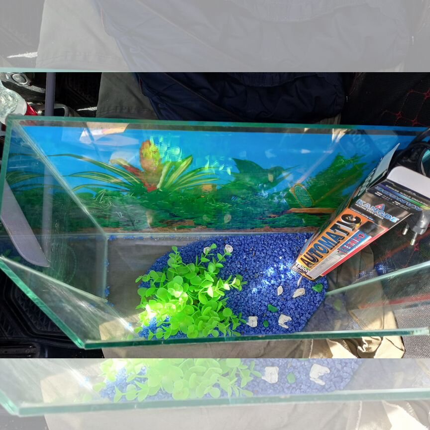 Аквариум с синими камнями и нагревателем