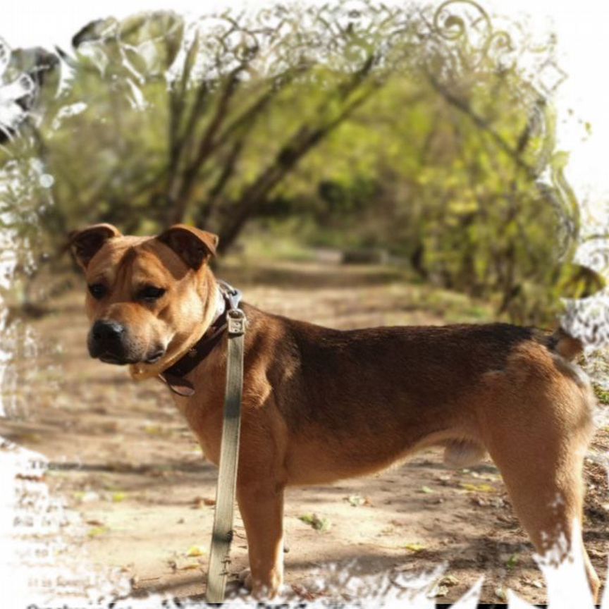 Брутальный парень Сэм