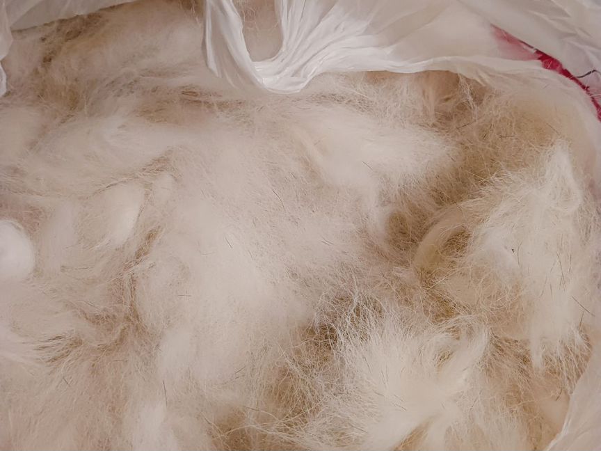 Пух сибирской хаски