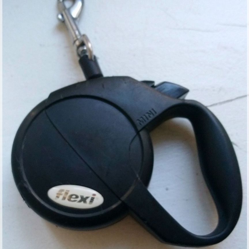 Рулетка для собак Flexi Mini, XS, до 8 кг, трос 3
