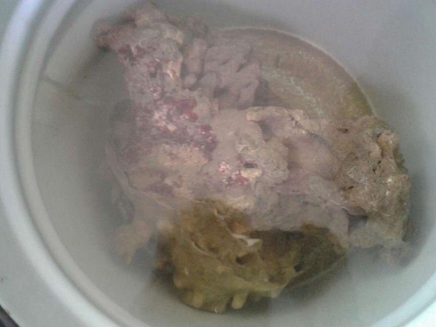 Живые камни в аквариум морской