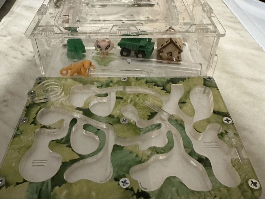 Муравьиная ферма