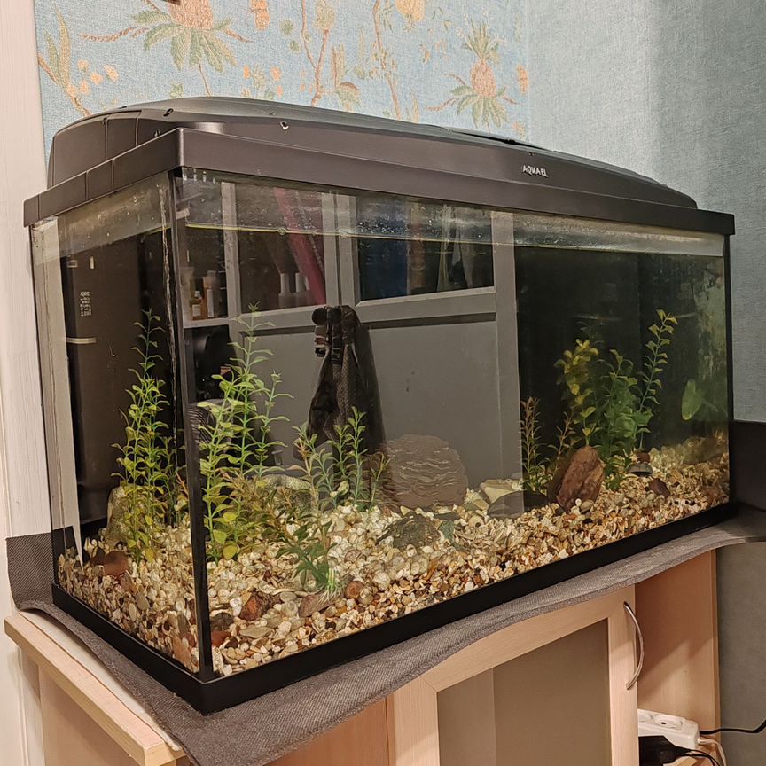 Аквариум Aquael 110л