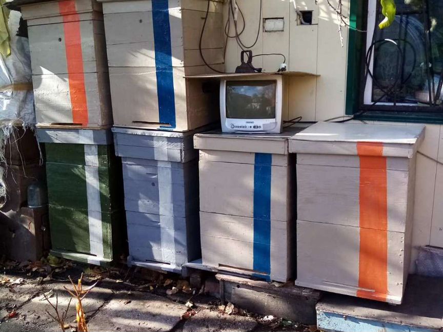Продам пчелиные улья