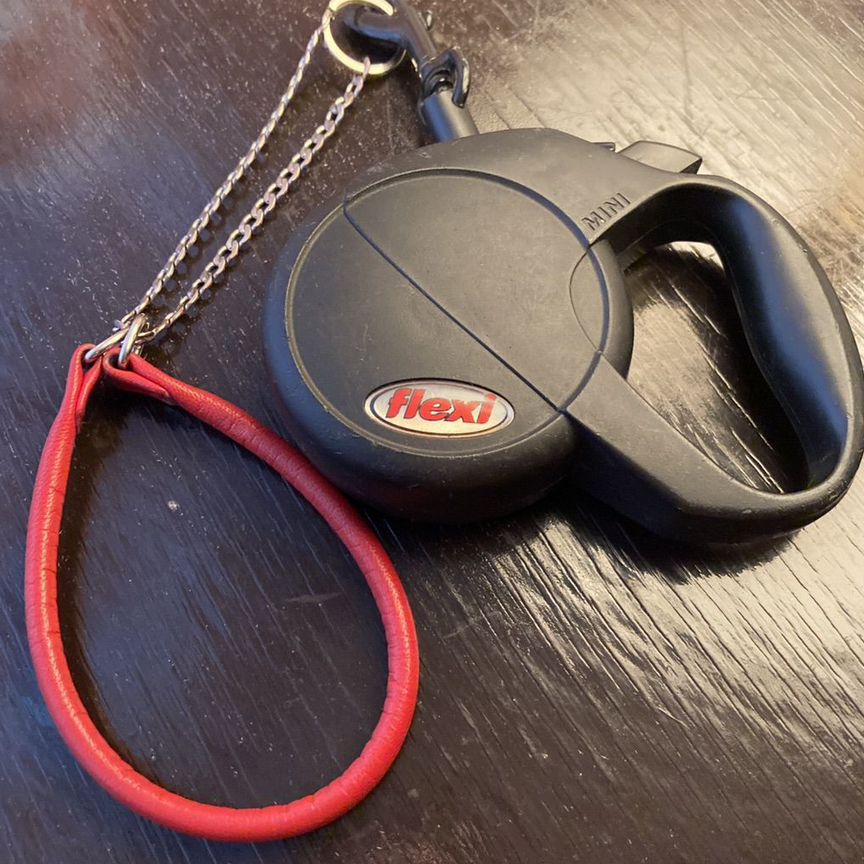 Рулетка для собак мелких пород