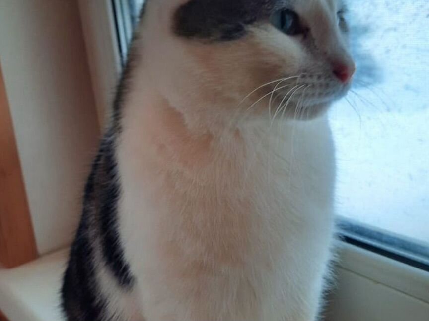 Милый мальчик