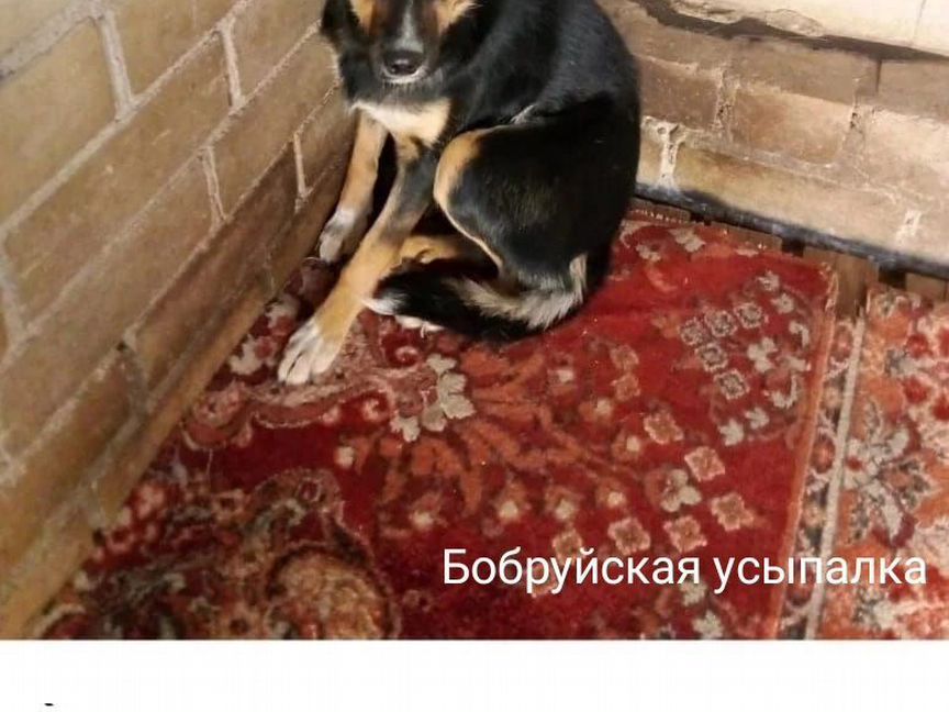 Девочка из усыпалки SOS