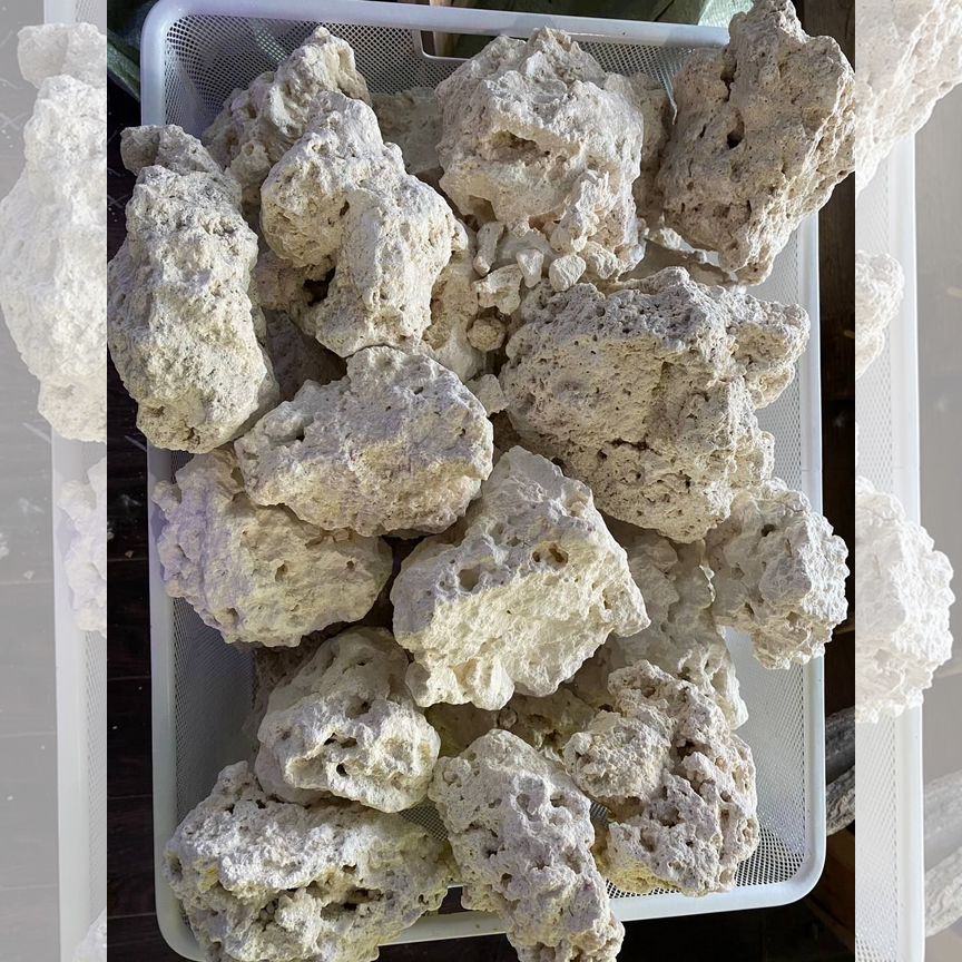 Сухой рифовый камень (срк) Индонезия