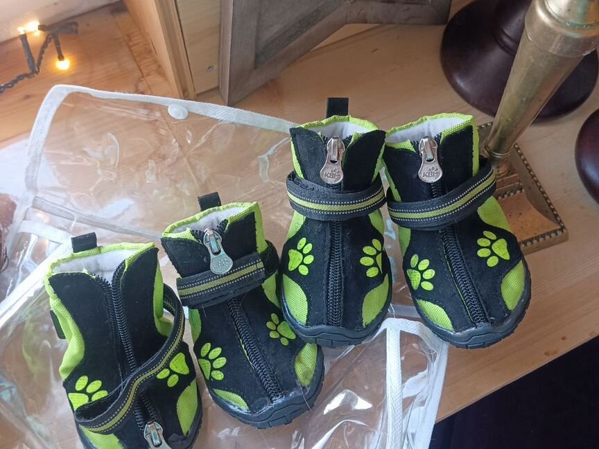 Обувь для средних собак