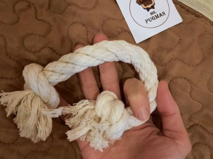 Канат для собак