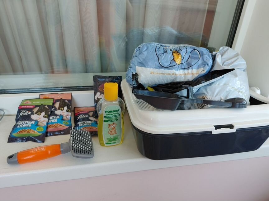 Лоток для кошки и шредер