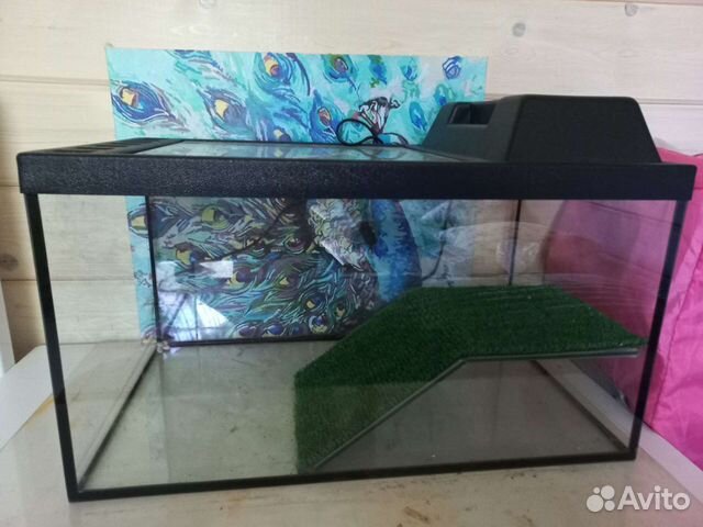 Террариум для черепахи