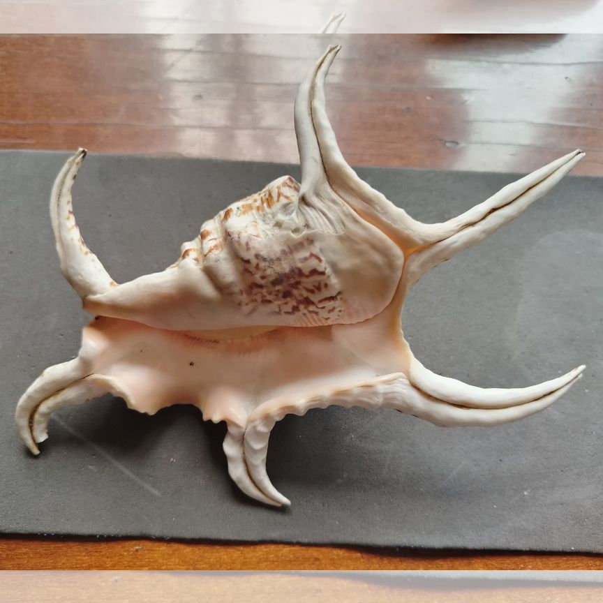 Декорации для аквариума