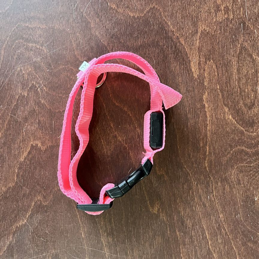 Ошейники для собак