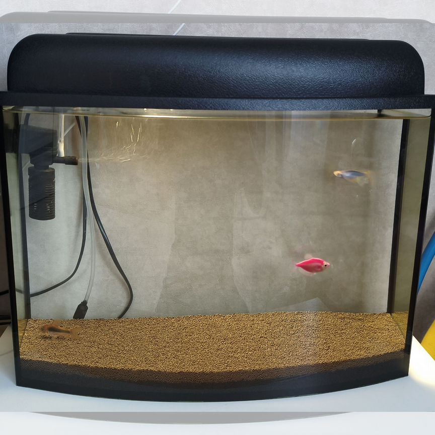 Аквариум с рыбками