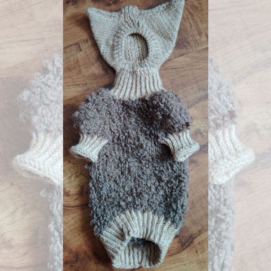 Кофта с шапочкой для собачки или котика