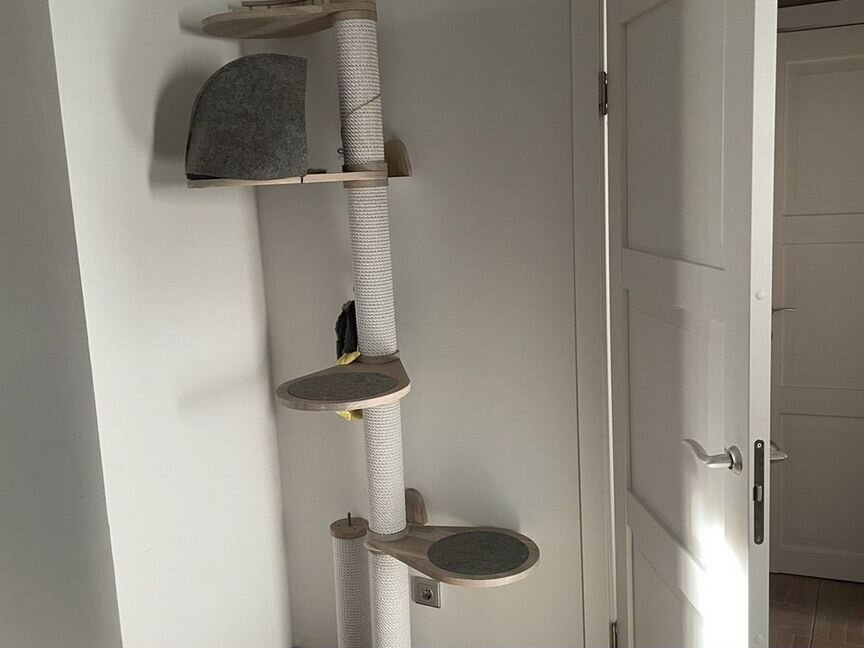 Когтеточка/Игровой комплекс для кошек Catsby